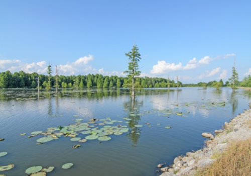 BOATING/LAKES - Southernmost Illinois Tourism Bureau